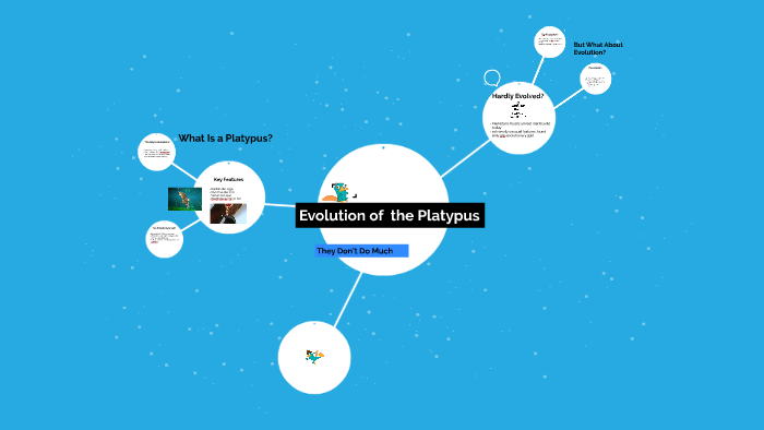 Evolution of the Platypus by Colleen Schmuck on Prezi
