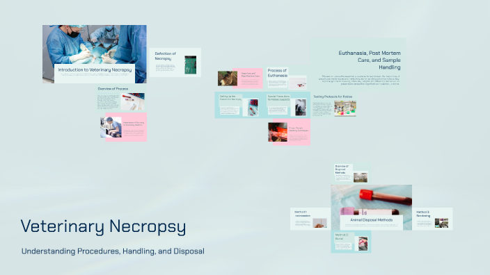 Veterinary Necropsy Techniques by Alexis Bridwell on Prezi