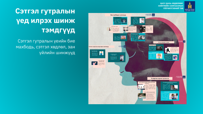 Сэтгэл гутралын үед илрэх шинж тэмдгүүд By Zulaa0114 On Prezi