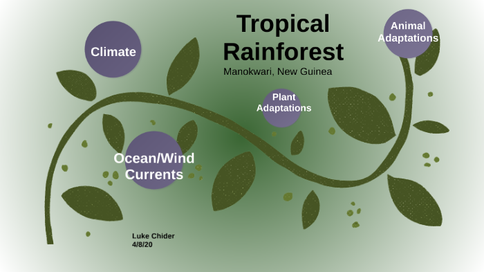 Tropical Rainforest One Pager by Luke Chider on Prezi