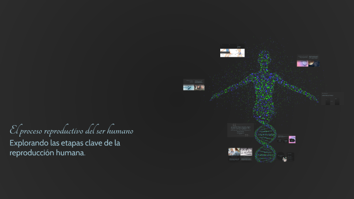 El proceso reproductivo del ser humano by Simon Sotelo bertel on Prezi