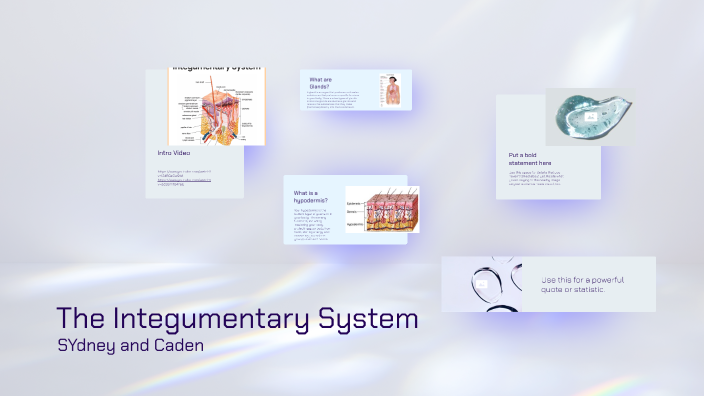 The Integumentary System by Sydney Wylie on Prezi