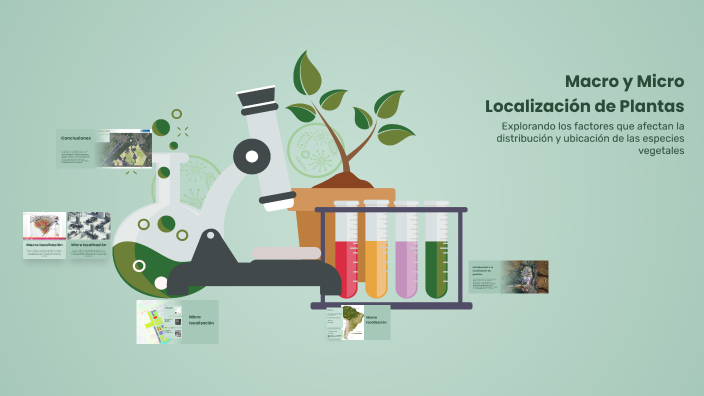 Macro y Micro Localización de Plantas by Valeria Máfara on Prezi