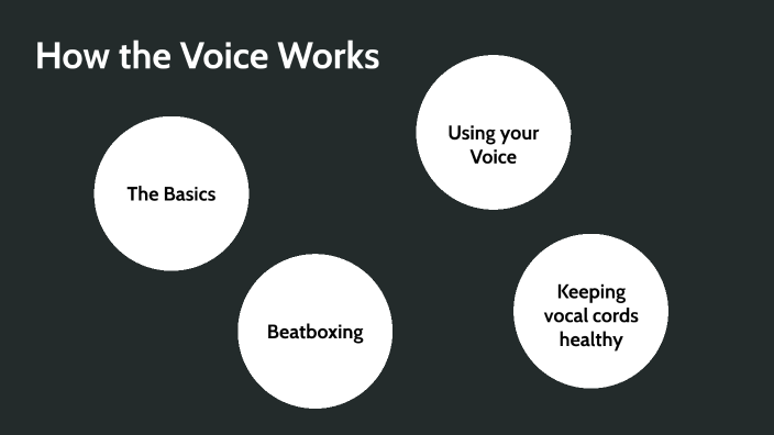 How the Voice Works by Katie Irvin on Prezi