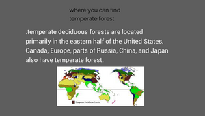 facts on temperate forest by chris mcguire on Prezi Design