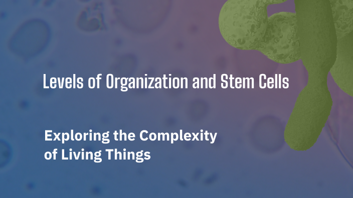 Levels of Organization and Stem Cells by Juno Smith on Prezi