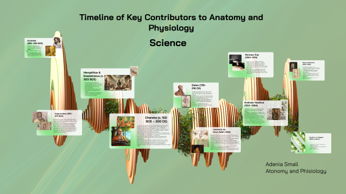 Timeline of Key Contributors to Anatomy and Physiology by adenia small ...