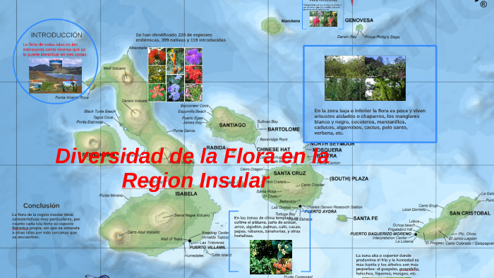 Diversidad de la Flora en la Region Insular by Marcos Parrales on Prezi