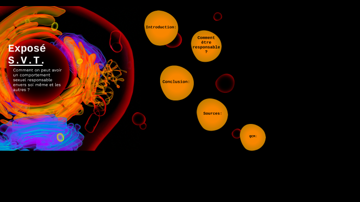 Exposé SVT by Nikita Bardiaux on Prezi
