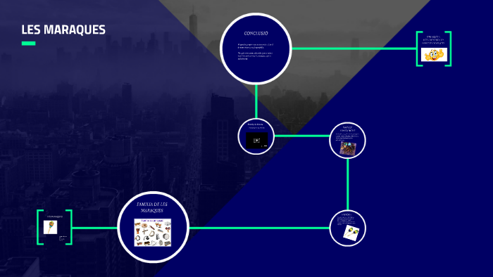 LES MARAQUES by pol conde on Prezi