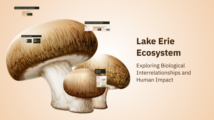 Lake Erie Ecosystem by Seth Nims on Prezi