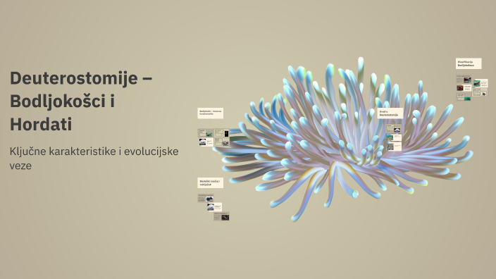 Deuterostomije – Bodljokošci i Hordati by Mihajlo Krković on Prezi