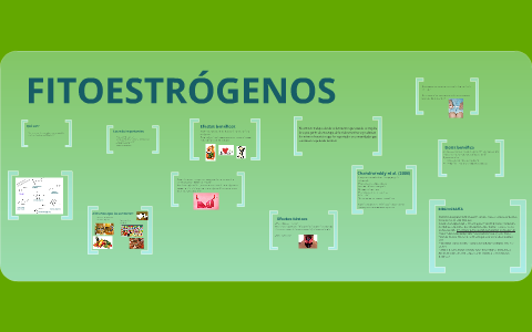 Fitoestrógenos by Nelly Paulina on Prezi