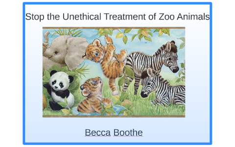 Stop the Unethical Treatment of Zoo Animals by Rebecca Boothe