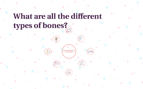 What are all the different types of bones? by M N on Prezi
