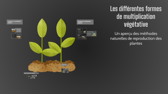 Les différentes formes de multiplication végétative by kenza Choumani ...