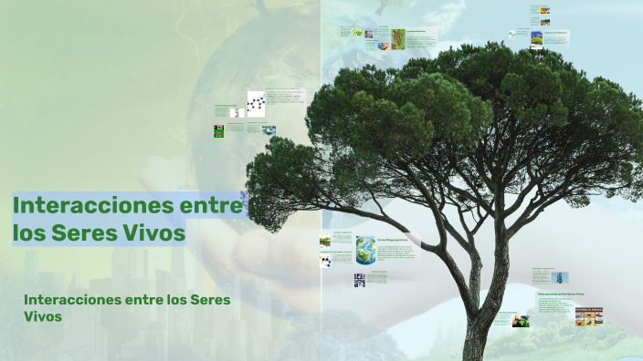 Interacciones entre los Seres Vivos by FIORELA RUBI SANTIAGO ESPINOZA ...