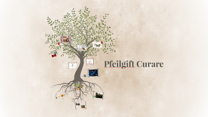 Pfeilgift Curare by Horst Hubert on Prezi
