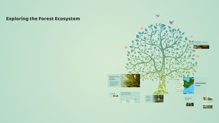 Exploring the Forest Ecosystem: A Fun Guide for Kids by on Prezi