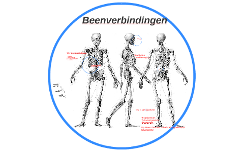 Beenverbindingen by on Prezi
