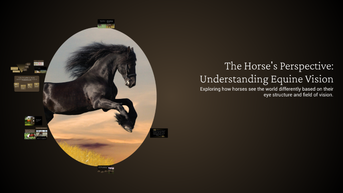 The Horse's Perspective: Understanding Equine Vision by Dominika on Prezi