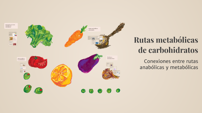 Rutas metabólicas de carbohidratos by Jesus Salas on Prezi