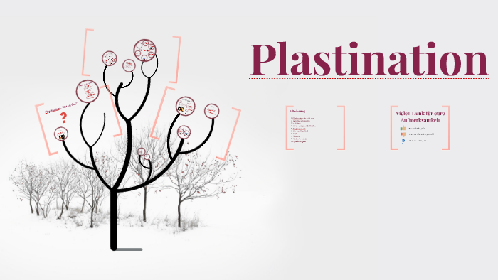 Plastination by S. F. on Prezi