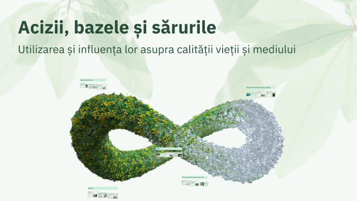 Acizii, bazele și sărurile by Georgiana Hincu on Prezi