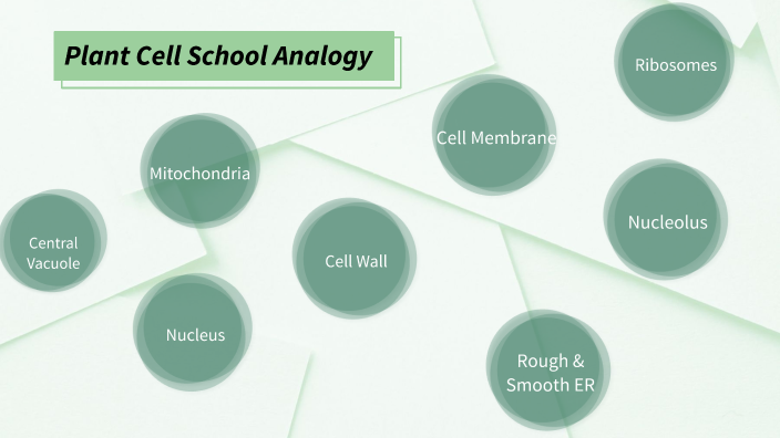 Cell School Analogy by praise okolie on Prezi