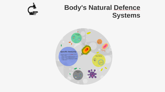Natural Defence Systems by Melissa Parry on Prezi