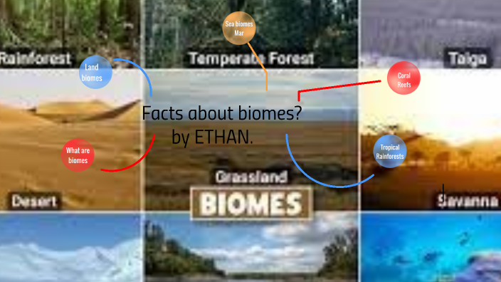 Facts about biomes by Ethan Gillespie on Prezi