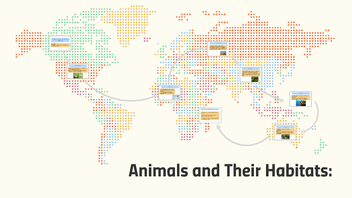 Different Types of Animal Habitats: by Ashley Martin