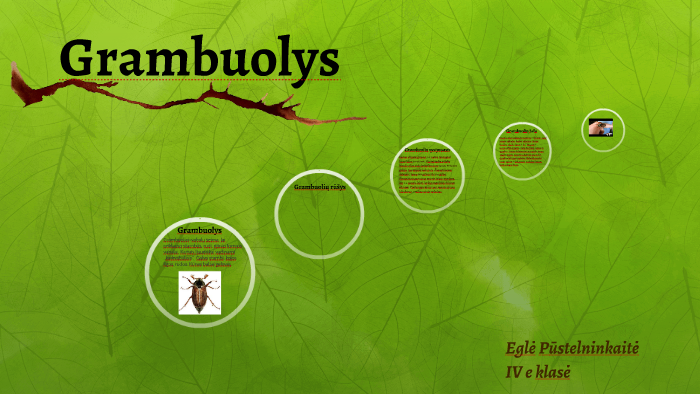 Grambuolys by Eglė eglija on Prezi