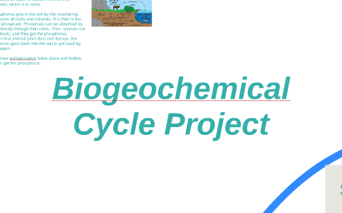 Biogeochemical Cycle Project by Zoe Abrams on Prezi