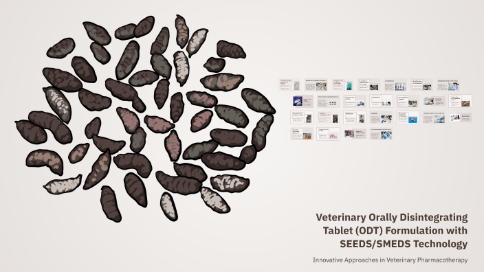 Veterinary Orally Disintegrating Tablet (ODT) Formulation with SEEDS ...