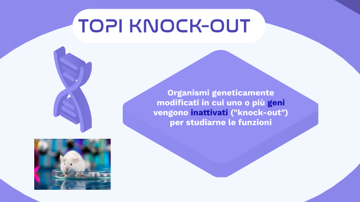 Topi knock-out by Luca Venturini on Prezi