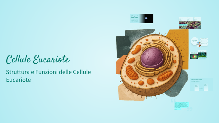 Cellule Eucariote by Giorgia Occhipinti on Prezi
