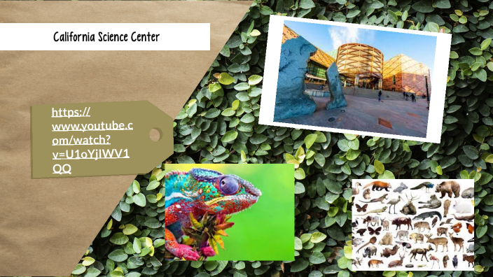 Science Virtual Field Trip by Amanda Culpepper on Prezi