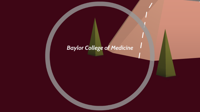 Baylor College of Medicine by Caleb Reinhart