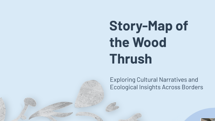 Story-Map of the Wood Thrush by on Prezi
