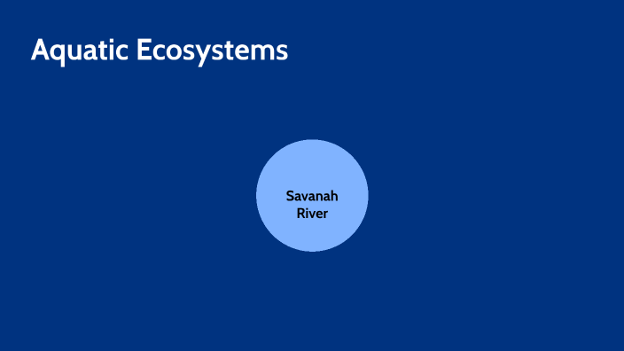 Aquatic Ecosystems by Brooklynn Coleman on Prezi