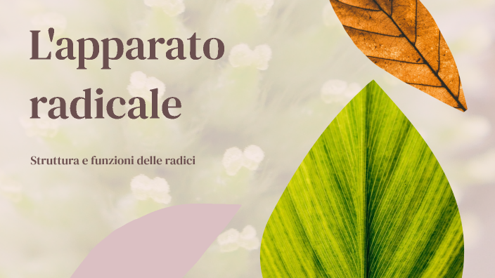 L'apparato radicale by Fabio Di Pietro on Prezi