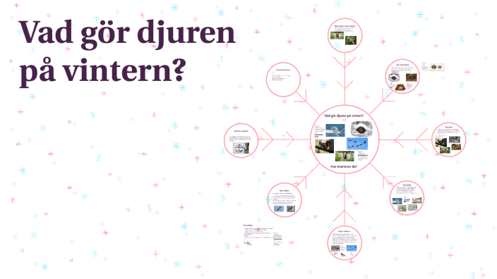 Vad gör djuren på vintern? by sandra lien on Prezi