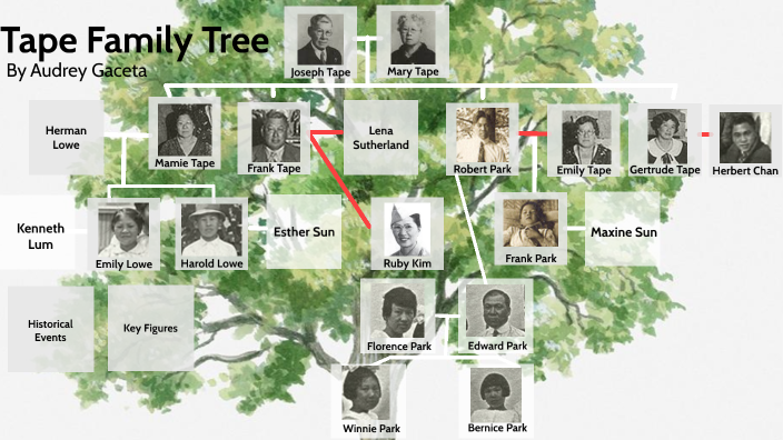 Tape Family Tree by Audrey Gaceta on Prezi
