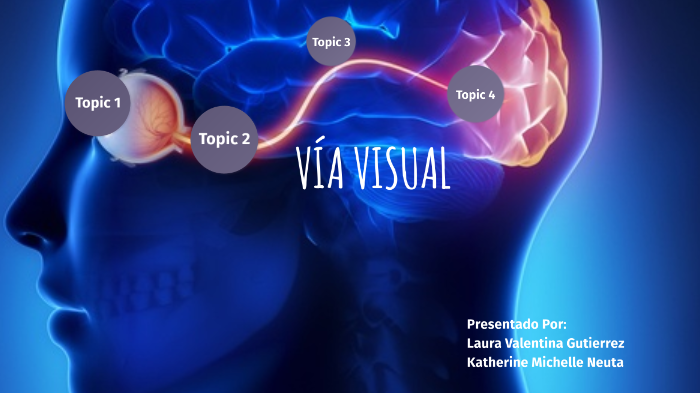 Vía Visual by Laura Gutierrez on Prezi