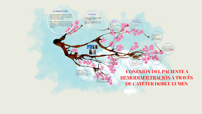 CONEXIÓN DEL PACIENTE A HD A TRAVÉS DE CATÉTER DOBLE LUMEN by Cristina ...