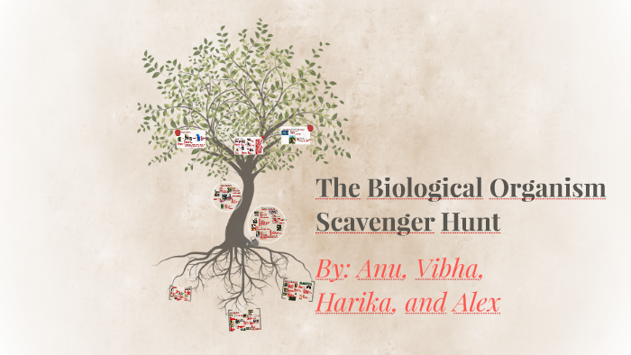 The Biological Organism Scavenger Hunt by Harika M on Prezi