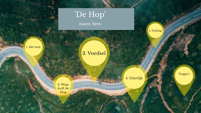 'De Hop' by Sem Prezi on Prezi