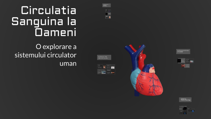 Circulatia Sanguina la Oameni by Stefan Novac on Prezi