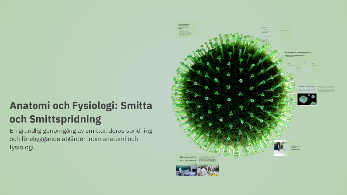 Anatomi och Fysiologi: Smitta och Smittspridning by Linda Sköld on Prezi